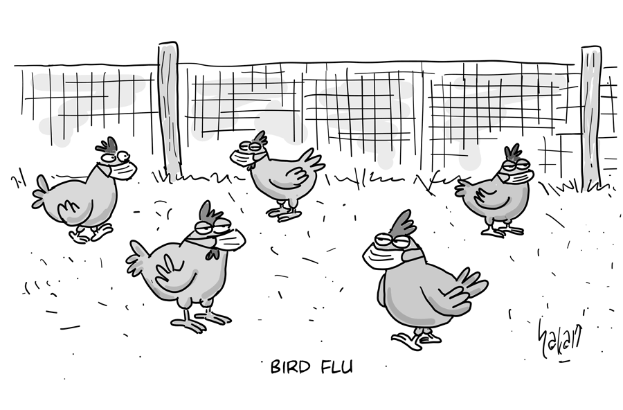 March 7, 2025 | The Harvard Press | Editorial Cartoons | The Harvard Press