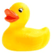 Apple Blossom Festival and Ducky Wucky River Race | The Harvard Press ...