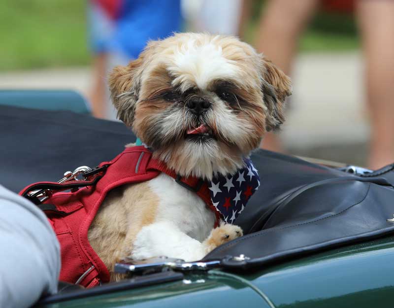 Barbie, Ken, and antiques galore in traditional Fourth of July parade ...