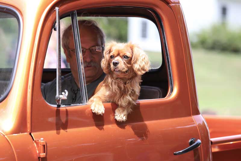 Barbie, Ken, and antiques galore in traditional Fourth of July parade ...